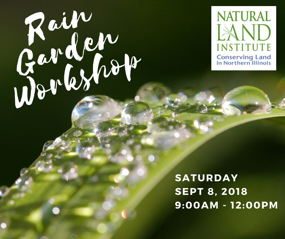 Rain Garden Workshop Saturday September 8 Second First Church